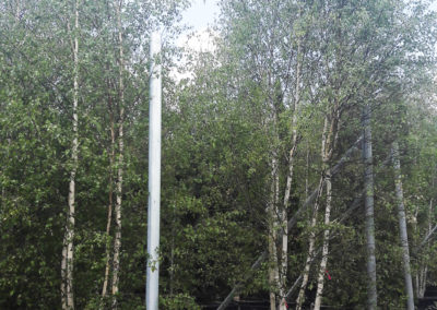 Végétaux et décoration | Jardins de l'Orangerie