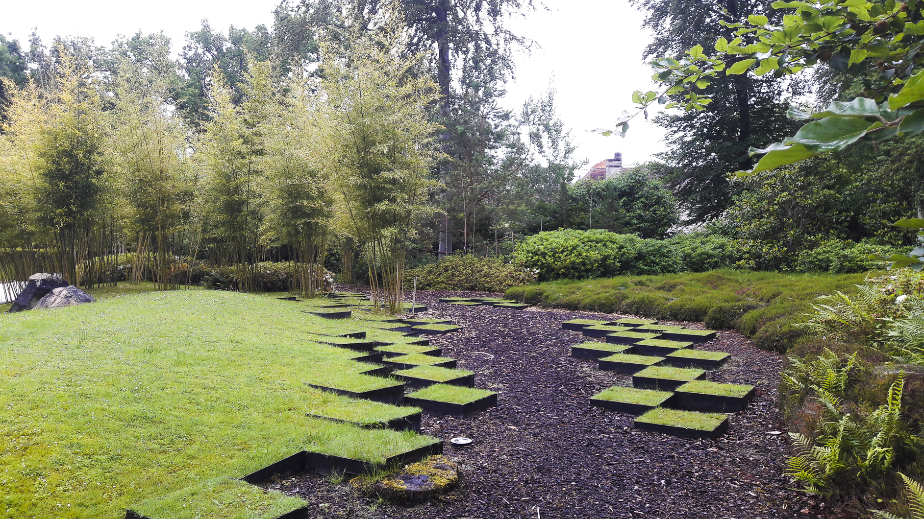 Entretien Jardin Seine Et Marne