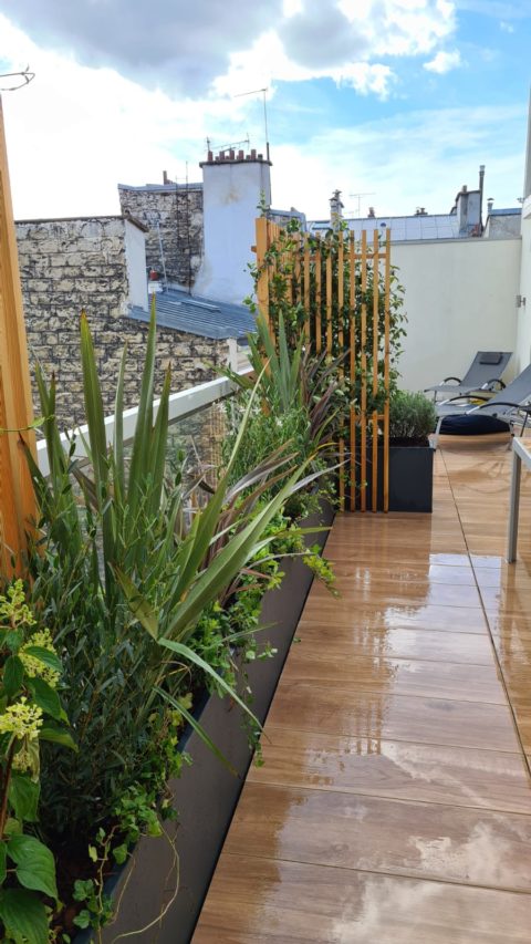 Aménagement d’un balcon filant à Levallois Perret | Jardins de l'Orangerie
